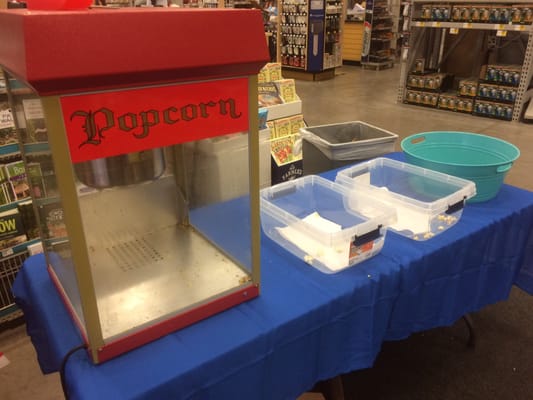 LOWE’S HOME IMPROVEMENT - Updated October 2025 - 84 Photos & 40 Reviews ...