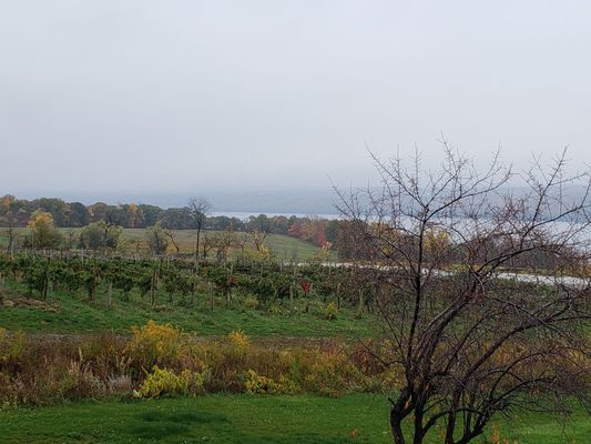 SENECA SOL - Updated October 2024 - 27 Photos - 4625 Satterly Hill Rd ...