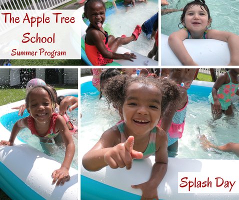 THE APPLE TREE SCHOOL - Updated December 2025 - 21 Photos - 17127 Red ...