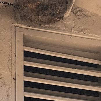 SPCA MONTEREY COUNTY - Updated October 2025 - 135 Photos & 116 Reviews ...