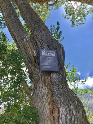 THE HANGING TREE - Updated December 2025 - Genoa, Nevada - Landmarks ...