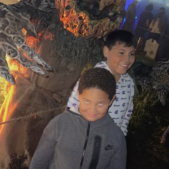 STALKER FARMS - Updated December 2025 - 51 Photos & 104 Reviews - 8705 ...