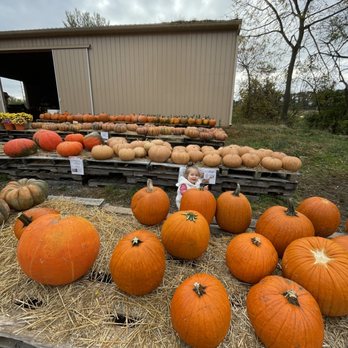 STYER ORCHARD - Updated November 2025 - 90 Photos & 60 Reviews - 97 ...