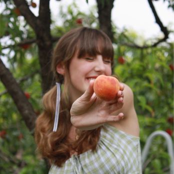 GEMINI PEACH AND ROSE FARM - Updated December 2025 - 25 Photos & 10 ...