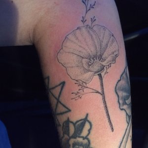 GOOD TIME CHARLIE’S TATTOOLAND - 144 Photos & 69 Reviews - 2641 W ...