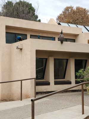 ALAMEDA PARK ZOO - 146 Photos & 48 Reviews - 1021 N White Sands Blvd ...