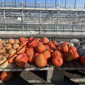 SECOR FARMS - Updated January 2026 - 265 Photos & 86 Reviews - 168 ...