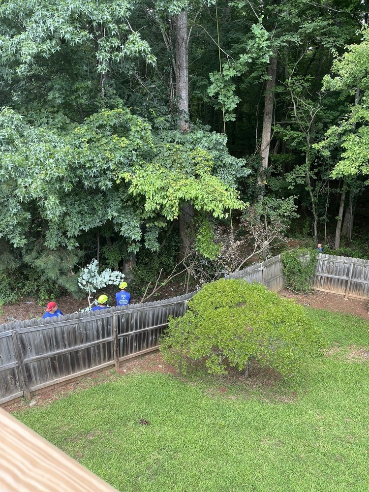 TIMBERCUT TREE EXPERTS - Updated July 2025 - 280 Fowler Springs Court ...