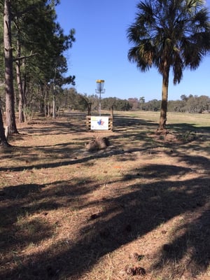 CITY PARK DISC GOLF COURSE - Updated October 2025 - 26 Photos - 1 Palm ...
