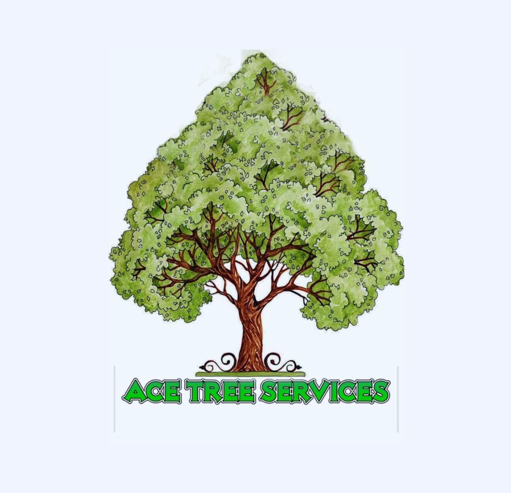 ACE TREE SERVICES - Holly Springs, North Carolina - Tree Services - Phone Number - Yelp