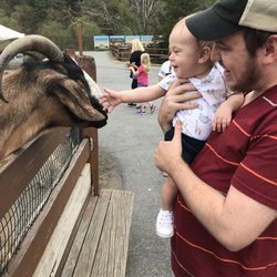 Lehigh Valley Zoo - 34 Photos & 33 Reviews - Zoos - 5150 Game Preserve ...