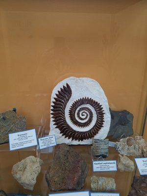 WESTERN SCIENCE CENTER - 219 Photos & 63 Reviews - 2345 Searl Pkwy ...