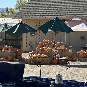 ALDEN LANE NURSERY - Updated December 2025 - 430 Photos & 235 Reviews ...