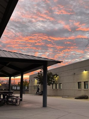 MILLENNIUM HIGH SCHOOL - Updated August 2025 - 16 Photos - 14802 W ...