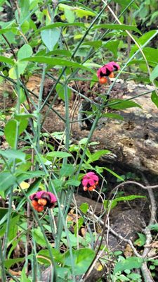 SNEADS FARM - Updated October 2025 - 91 Photos & 41 Reviews - 18294 ...