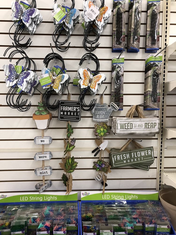 DOLLAR TREE - Updated May 2025 - 16 Photos - 6 Westminster, Westminster ...