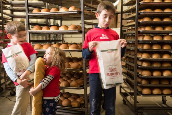 MANCINI’S BAKERY - Updated June 2024 - 36 Photos & 29 Reviews - 601 ...