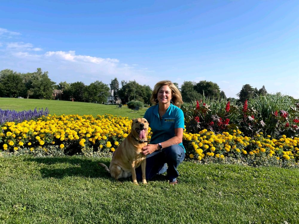 BARK BUSTERS HOME DOG TRAINING - DENVER - Updated October 2025 - 134 ...