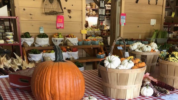 GOULD’S PRODUCE - Updated December 2025 - 20 Photos - 829 Frable Rd ...