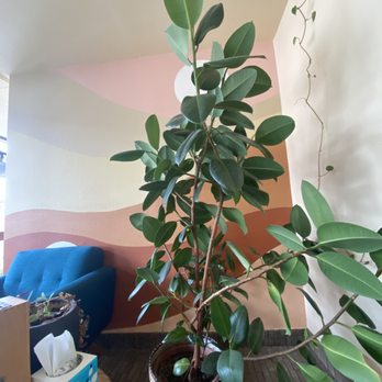 COMMON GROUND WELLNESS COOPERATIVE - Updated October 2025 - 35 Photos ...