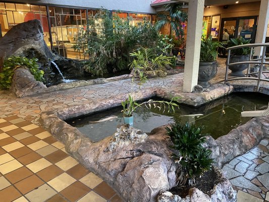 CRAZY BUFFET - 150 Photos & 185 Reviews - Buffets - 2030 Palm Beach Lks ...