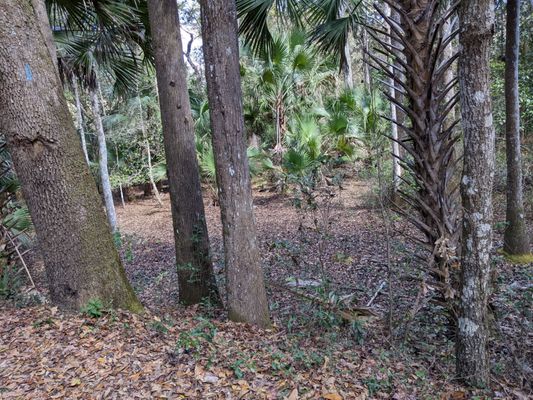 LITTLE BIG ECON STATE FOREST - Updated May 2025 - 171 Photos & 26 Reviews - 1350 Snow Hill Rd ...