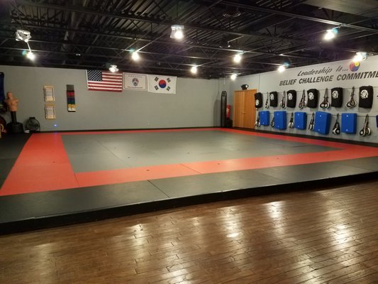 KYUKI-DO MARTIAL ARTS OF GENEVA - Updated November 2025 - 33W624 ...