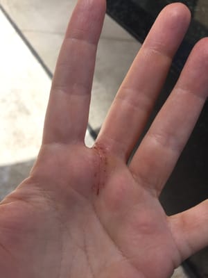 RAMIN M MODABBER, MD - Updated January 2025 - 39 Reviews - 2020 Santa ...