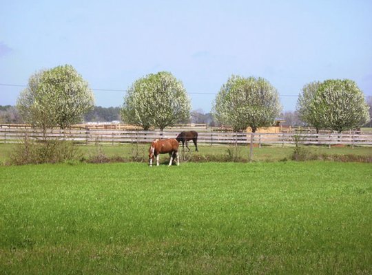 CRYSTAL AIRE STABLES - Updated August 2024 - 835 Masontown Rd, Newport ...