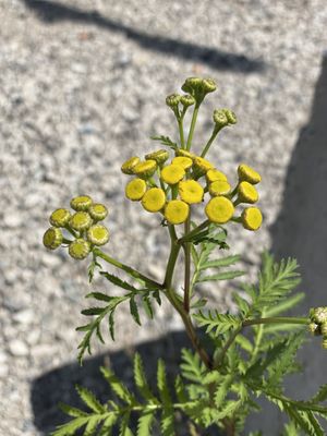 AWAKON SCULPTURE PARK - Updated July 2025 - 46 Photos - 20855 ...