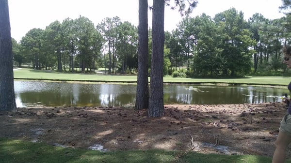 SANTA ROSA GOLF & BEACH CLUB - Updated December 2025 - 14 Reviews ...