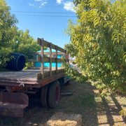 AMADIO RANCH FARM STORE - 81 Photos & 68 Reviews - 4701 W Dobbins Rd ...