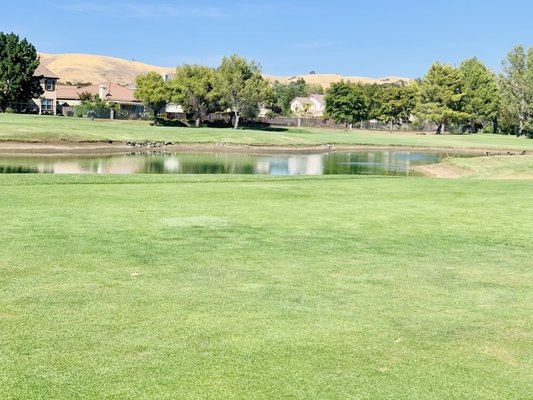 PARADISE VALLEY GOLF COURSE - Updated June 2024 - 71 Photos & 66 ...