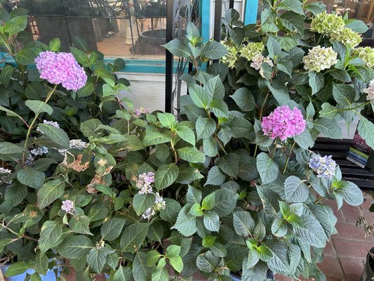 THE TREE FARM NURSERY & GARDEN CENTER - Updated September 2025 - 34 ...