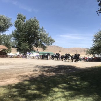 YOUNG LIVING LAVENDER FARM - Updated October 2025 - 162 Photos & 33 ...