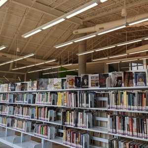 DANIEL LIBRARY - Updated June 2025 - 171 Moultrie St, Charleston, South ...