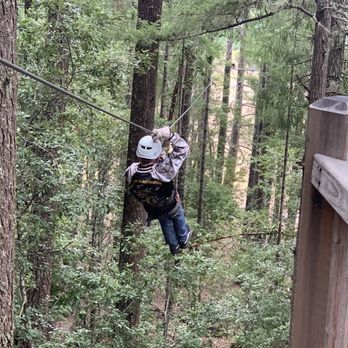 OUT’N’ABOUT TREEHOUSE TREESORT - Updated November 2024 - 298 Photos ...