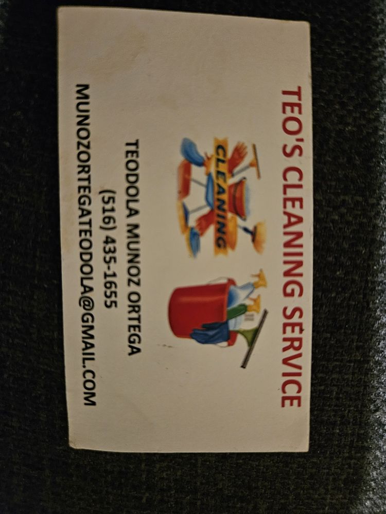 TEO CLEANING SERVICE - Updated June 2025 - Request a Quote - 1056 Traymore Blvd, Island Park ...