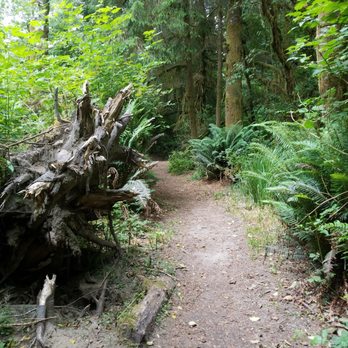 WEATHERWAX COSTAL RAINFOREST - Updated December 2025 - 26 Photos & 10 ...