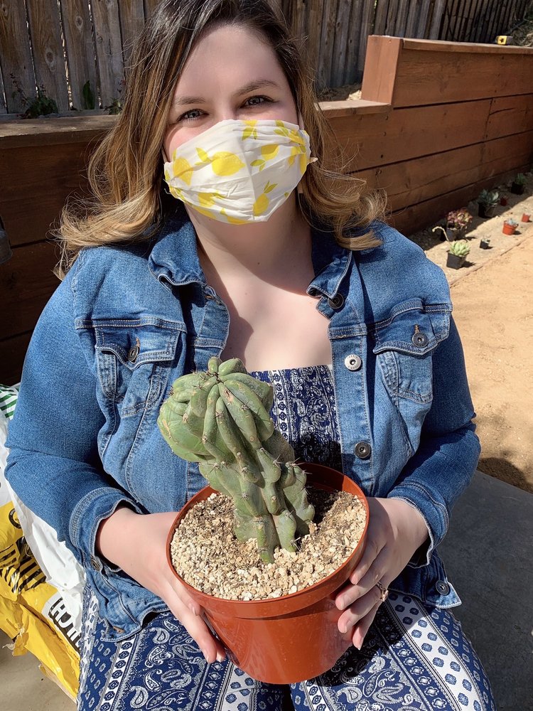 ROJAS SUCCULENTS AND CACTI - Updated January 2025 - 229 Photos & 94 ...