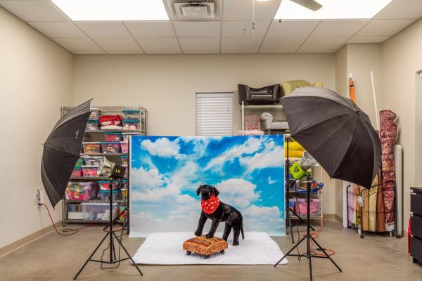 FRIENDS FOR LIFE ANIMAL RESCUE - Updated January 2026 - 43 Photos & 59 ...