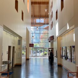 BELLEVUE LIBRARY - 89 Photos & 111 Reviews - 1111 110th Ave NE ...