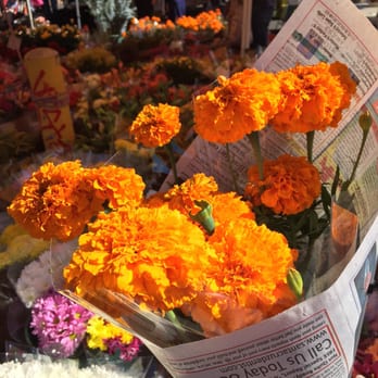 ALEMANY FARMERS’ MARKET - Updated July 2024 - 544 Photos & 431 Reviews ...