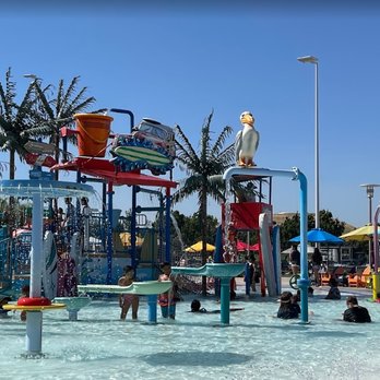 THE DUBLIN WAVE - Updated December 2025 - 223 Photos & 264 Reviews ...