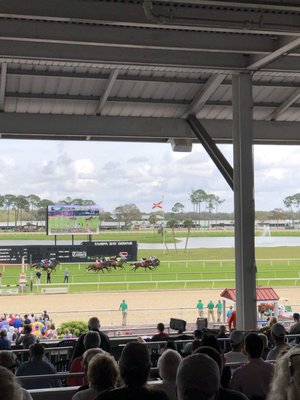 TAMPA BAY DOWNS - 129 Photos & 78 Reviews - 11225 Race Track Rd, Tampa ...
