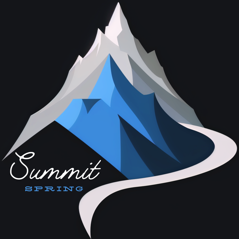 SUMMIT SPRING PARTNERS - Updated September 2024 - Request Consultation ...