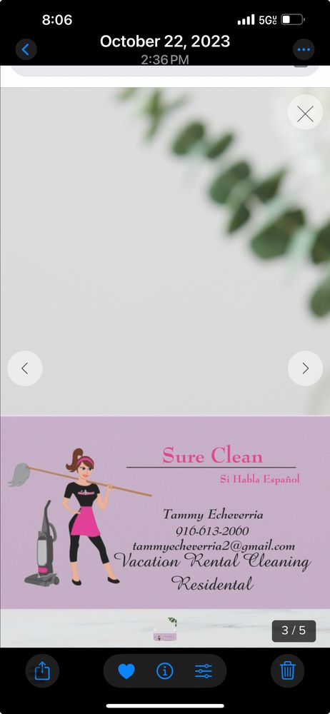 SURE CLEAN - Updated December 2024 - Indianapolis, Indiana - Home ...