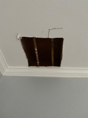 The Pink Plumber - Updated August 2025 - 18 Photos - 338 Reviews - 2620 ...