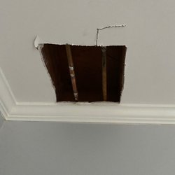 THE PINK PLUMBER - 19 Photos & 329 Reviews - 2620 Mathews St, Smyrna ...