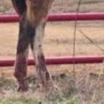 MORGAN TOWING & RECOVERY - Updated October 2025 - 55 Photos & 28 ...